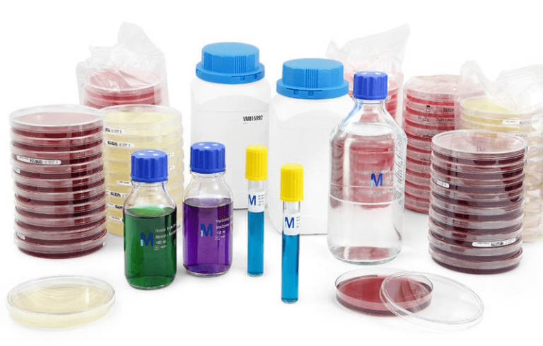 Mastering Compendial Testing: The Essential Guide to Sample Preparation ...