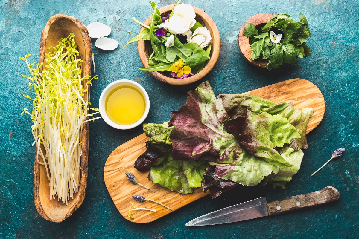 Edibles for Wellness: How Cannabis-Infused Foods Are Redefining Self ...