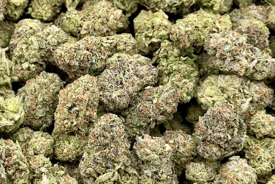 Zaza Uncovered: Weed, Drug, or Rap Slang? - Nano Hemp Tech Labs