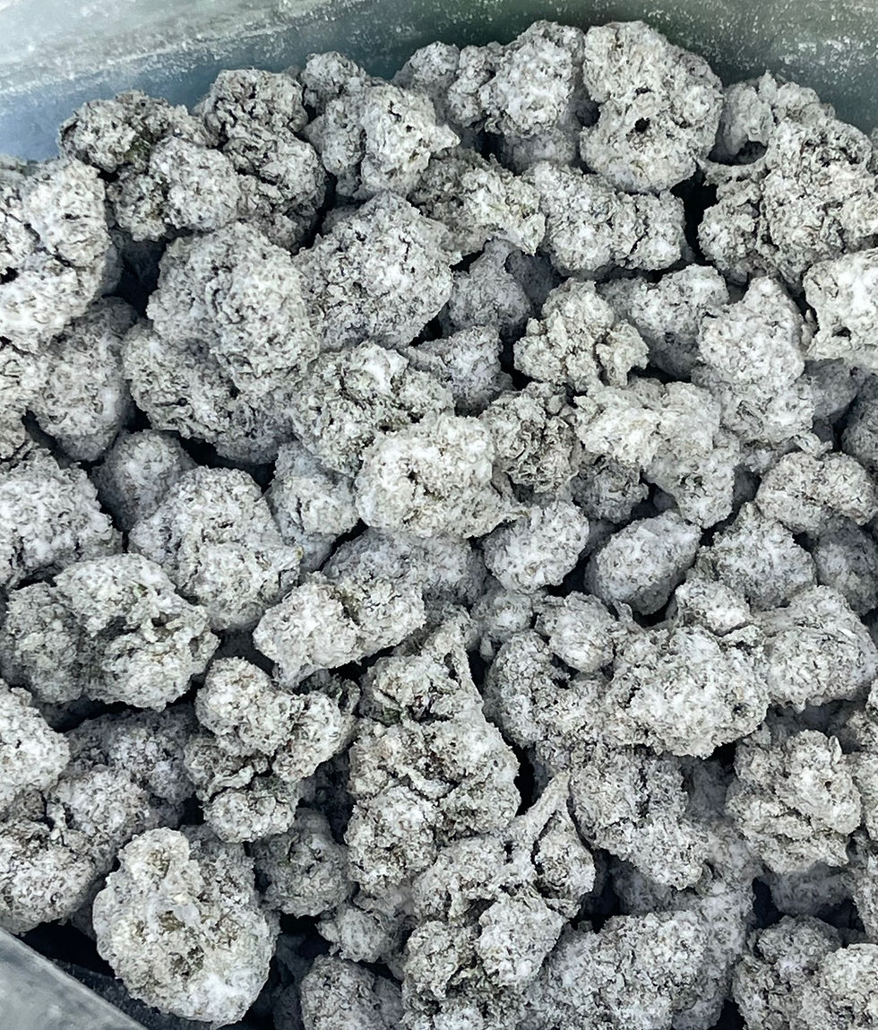 Unveiling the Frosty Allure of Snow Caps Cannabis - Nano Hemp Tech Labs