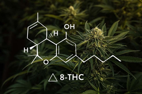 Why Delta-8 THC and Alternate Cannabinoids? - Nano Hemp Tech Labs