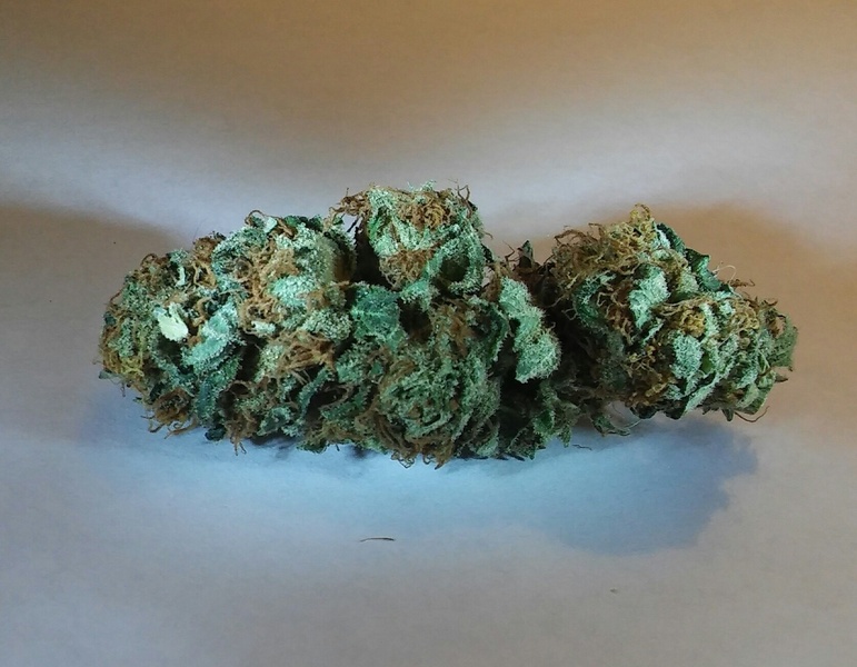 Snow Cap Strain Spotlight: Why This Frosty Bud Is a Must-Try for ...