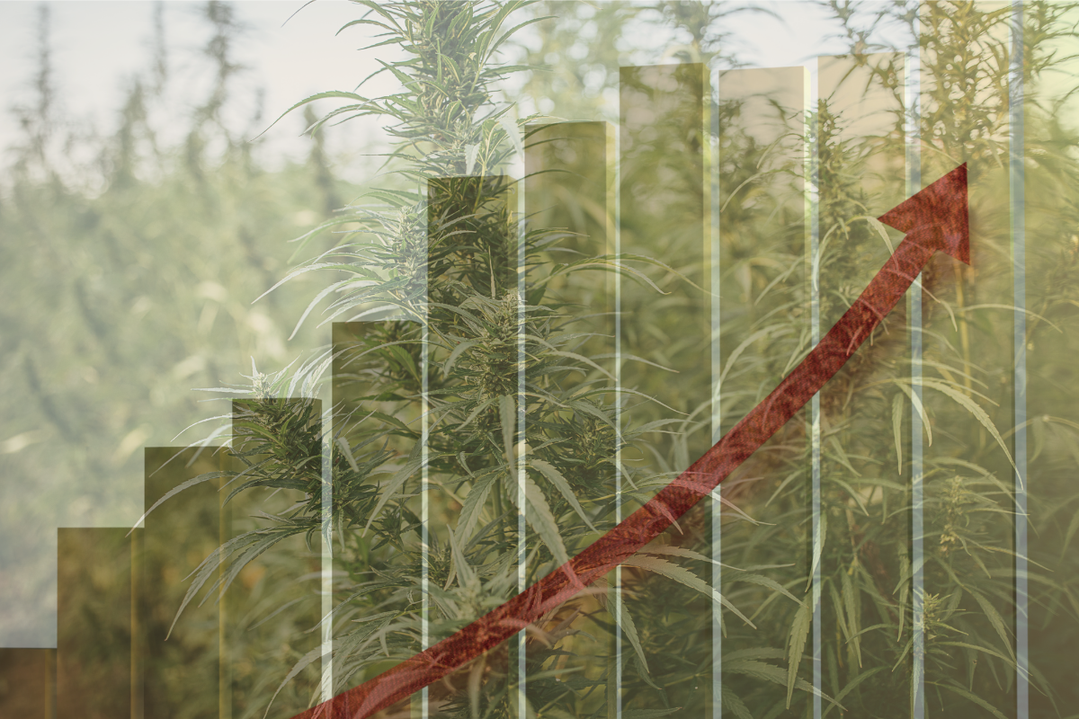 The Blooming Horizon: Hemp Market's Explosive Growth Trajectory - Nano ...