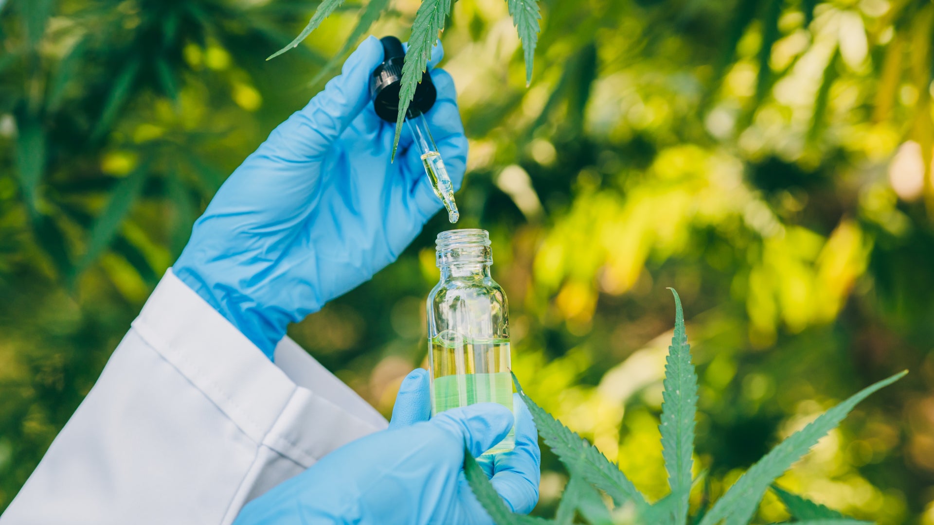 Innovative Delivery Methods: How Nano-Tech and Targeted Formulations ...