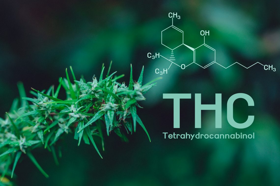 Hemp-Derived THC: From Legal Loophole to Everyday Wellness Essential ...